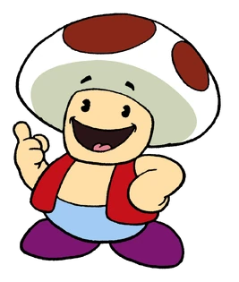 Toad | The Super Mario Bros. Cartoon Wiki | Fandom