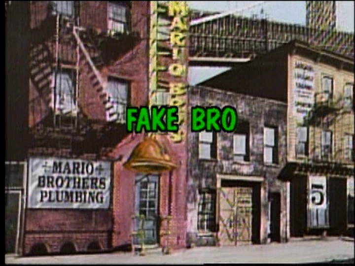 Fake Bro | The Super Mario Bros. Cartoon Wiki | Fandom