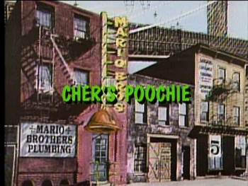 Cher's Poochie | The Super Mario Bros. Cartoon Wiki | Fandom