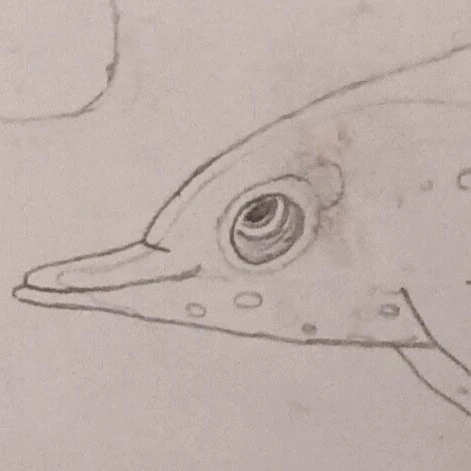 Merike | The Tank Bale Wiki | Fandom