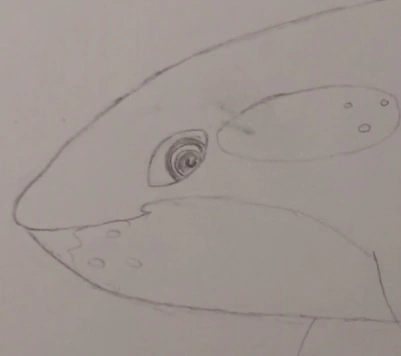 Shiko | The Tank Bale Wiki | Fandom