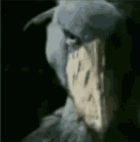 Serious Birds | PSverse (TTS) Wiki | Fandom