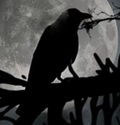 Ravens | The Twisted Childhood Universe Wiki | Fandom
