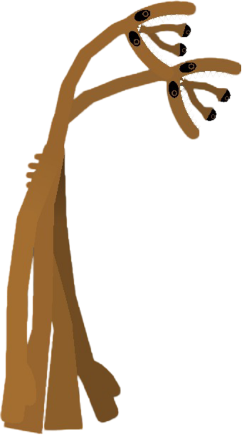 Brown Monster The Teamebers Youtubers Au And More Wiki Fandom