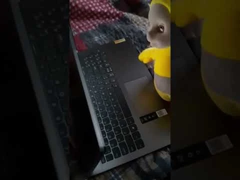 Computer | The Teletubby plushy series Wiki | Fandom