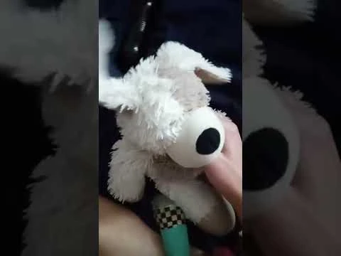 David (Short) | The Teletubby plushy series Wiki | Fandom