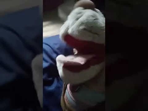 Sonic (Short) | The Teletubby plushy series Wiki | Fandom