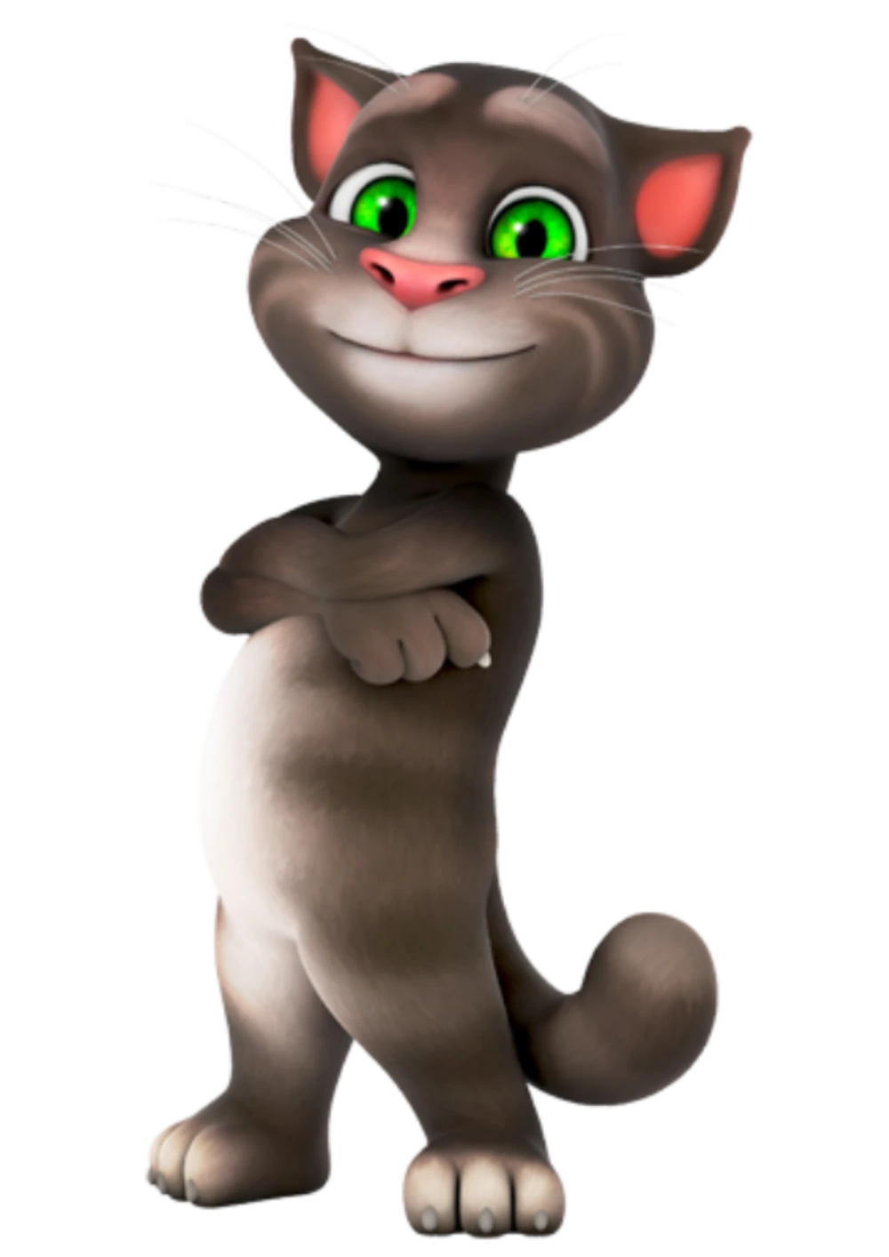 Talking Tom | The Temp UOA Wiki | Fandom