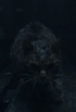 Fagin | The Terror Wiki | Fandom