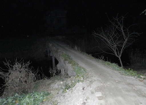 Level 12: "Forest Bridging" | The Thebackrooms Wiki | Fandom