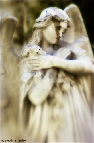 Seraphim | The Third Crusade ROBLOX Wiki | Fandom