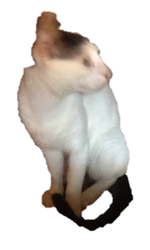 Uncle Cat | THE THREE KITTENS Wiki | Fandom