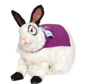 Dr. Colosso | Wiki The Thundermans | Fandom