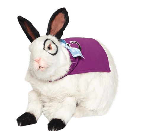 Doctor Colosso | The thundermans Wiki | Fandom