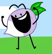 Turnip | Kirb08 Mrls Wiki | Fandom