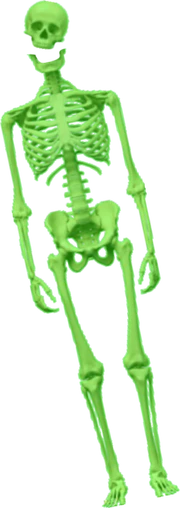 The Green Skeleton | Kirb08 Mrls Wiki | Fandom