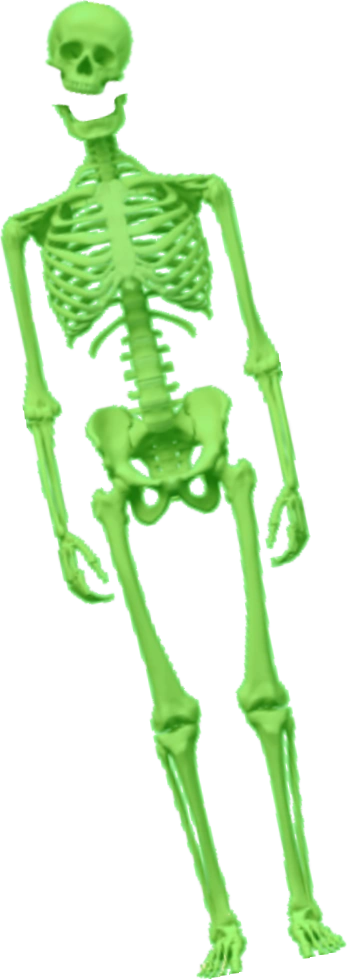 The Green Skeleton | Kirb08 Mrls Wiki | Fandom