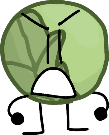 Cabbage | Kirb08 Mrls Wiki | Fandom