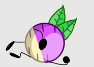 Turnip | Kirb08 Mrls Wiki | Fandom