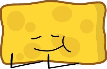 Spongy from BFB | Kirb08 Mrls Wiki | Fandom