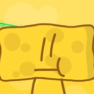 Spongy from BFB | Kirb08 Mrls Wiki | Fandom