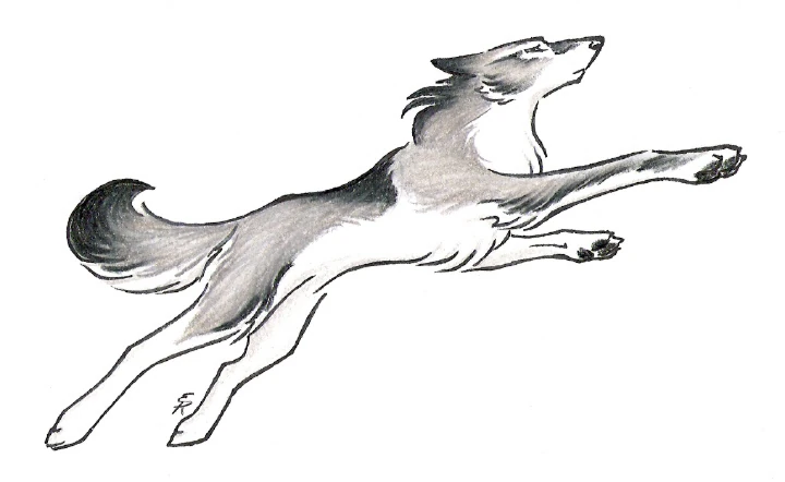 Wolf (Sentient Nature) | The Titans RP and information Wiki | Fandom