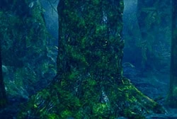 Possessed Tree | The Tome of Magic Wiki | Fandom