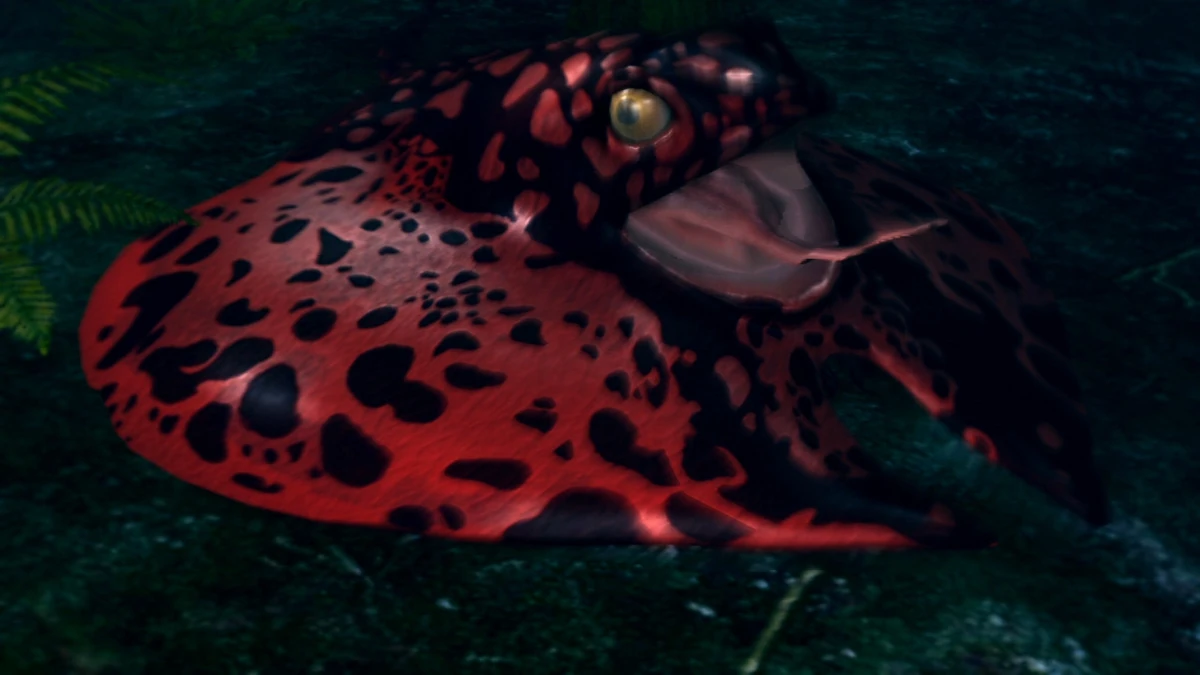 Frog-Ray | The Tome of Magic Wiki | Fandom