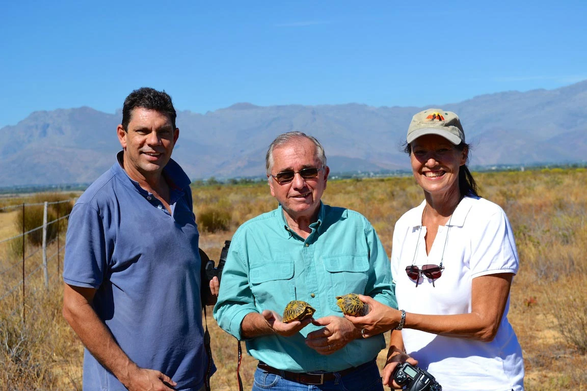 865-Acre Geometric Tortoise Preserve | The Tortoise Apedia Wiki | Fandom