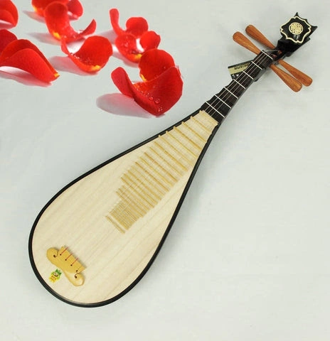 Pipa | The Toy Chest Of Baby Einstein Wiki | Fandom