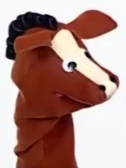 Baby Einstein Puppets: Neighton The Horse | The Toy Chest Of Baby ...