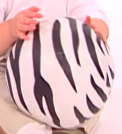 Wild Gertie Ball: Zebra | The Toy Chest Of Baby Einstein Wiki | Fandom