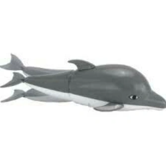 Swimming Dolphin | The Toy Chest Of Baby Einstein Wiki | Fandom