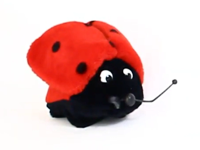 Dottie Ladybug | The Toy Chest Of Baby Einstein Wiki | Fandom