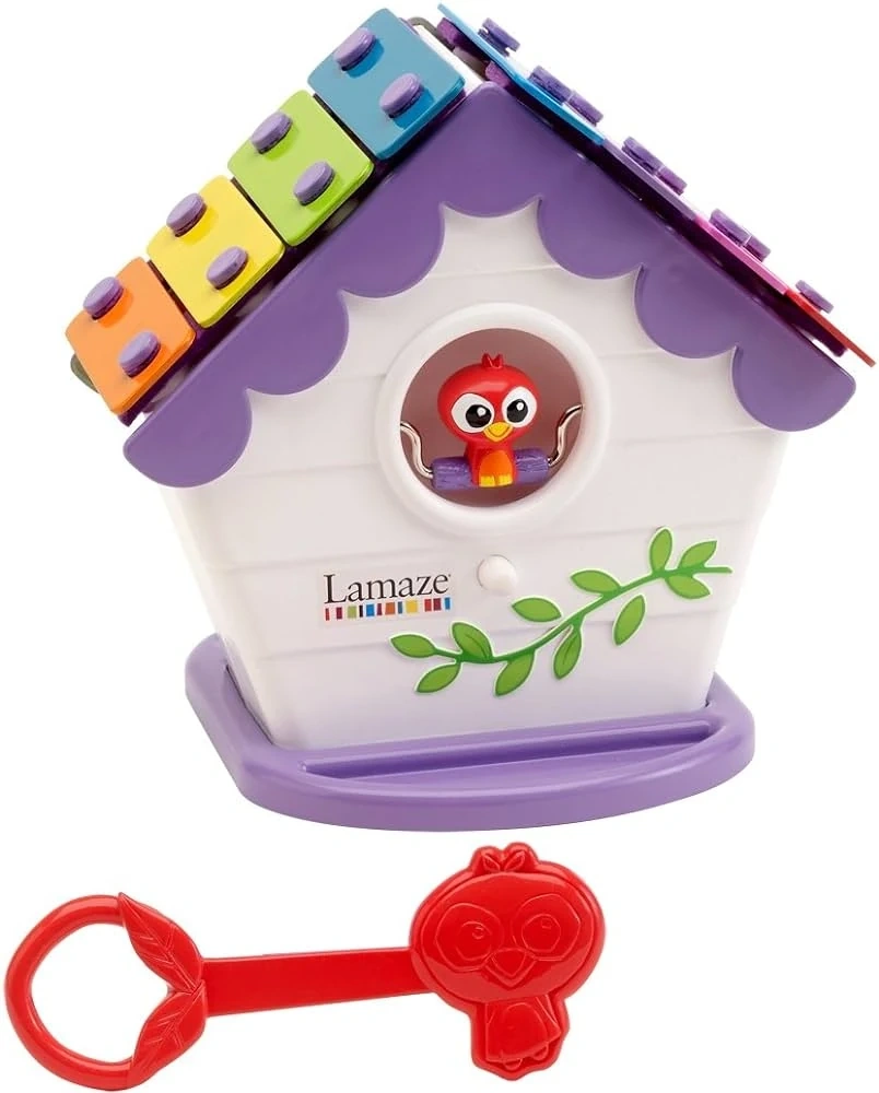 Bird House Xylophone | The Toy Chest Of Baby Einstein Wiki | Fandom