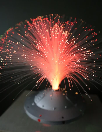 Venus Rotating Fiber Optic Lamp | The Toy Chest Of Baby Einstein Wiki ...