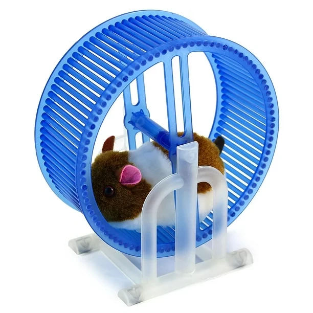 Hamster Runner Wheel | The Toy Chest Of Baby Einstein Wiki | Fandom