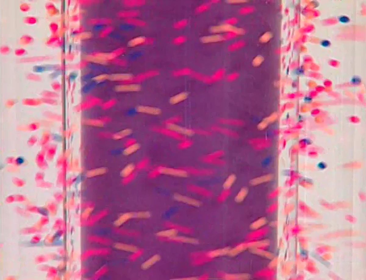 Dream Tour Lamp | The Toy Chest Of Baby Einstein Wiki | Fandom