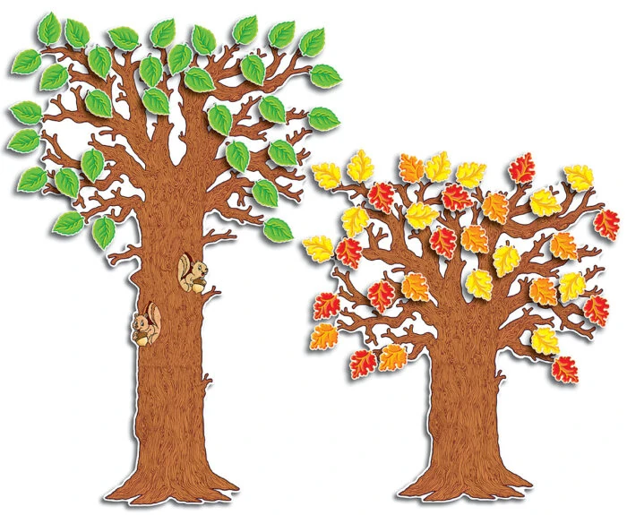 Bulletin Board: Classroom Tree | The Toy Chest Of Baby Einstein Wiki ...