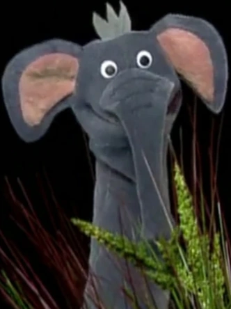 Baby Einstein Puppets: Baby Noah The Elephant | The Toy Chest Of Baby ...