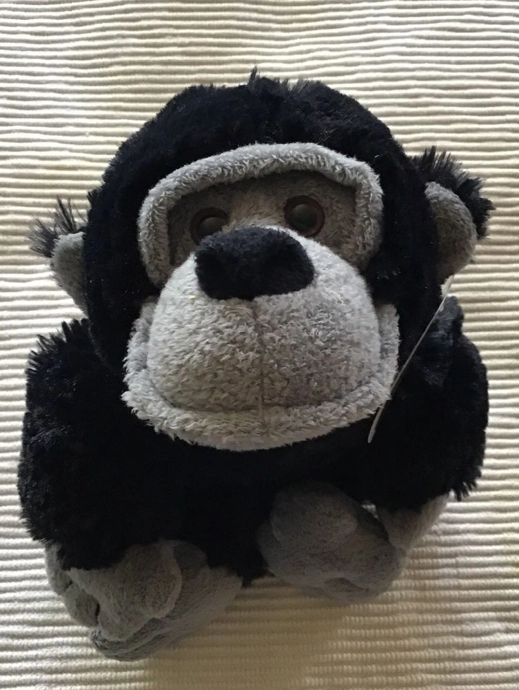 Large Floppy Monkey | The Toy Chest Of Baby Einstein Wiki | Fandom