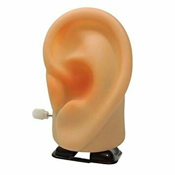 Wind-Up Ear | The Toy Chest Of Baby Einstein Wiki | Fandom