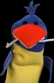 Baby Einstein Puppets: Boss Bird | The Toy Chest Of Baby Einstein Wiki ...