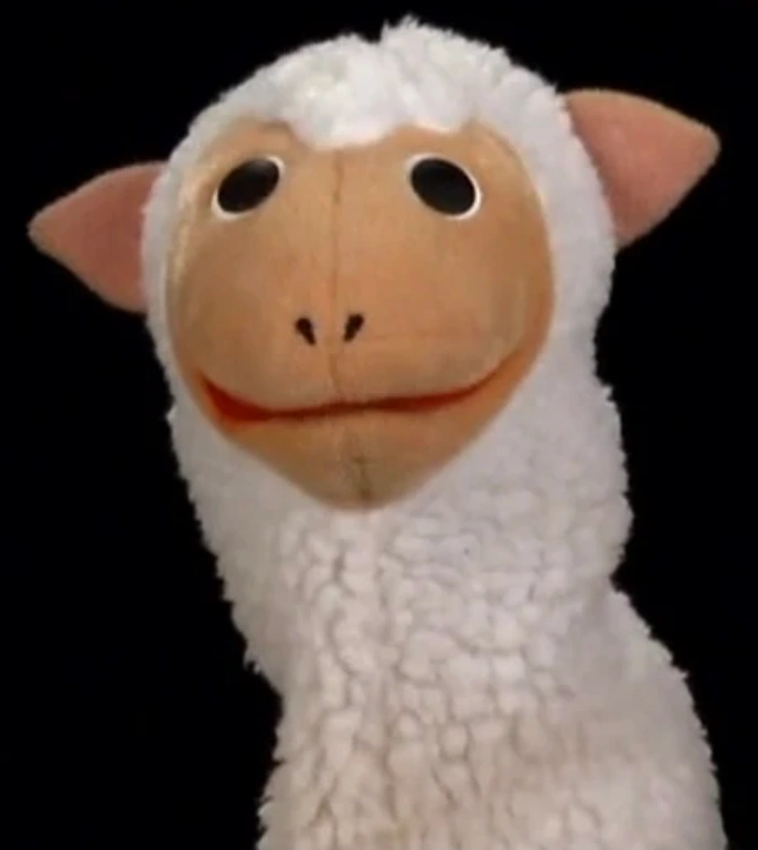 Baby Einstein Puppets: Baby Baaach The Lamb | The Toy Chest Of Baby ...