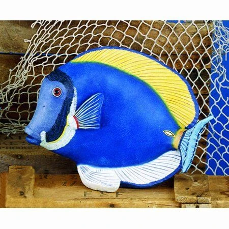 Powder Blue Tang Replica | The Toy Chest Of Baby Einstein Wiki | Fandom