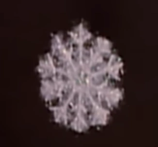 Fuzzy Snowflake | The Toy Chest Of Baby Einstein Wiki | Fandom