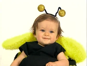 Bee Costume | The Toy Chest Of Baby Einstein Wiki | Fandom