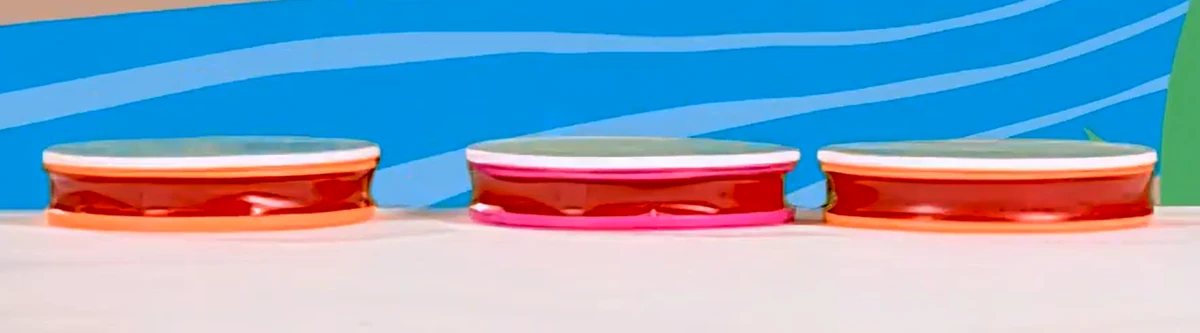 Plastic Drum | The Toy Chest Of Baby Einstein Wiki | Fandom