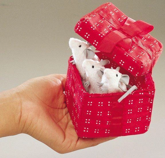 Mice In Box Puppet | The Toy Chest Of Baby Einstein Wiki | Fandom