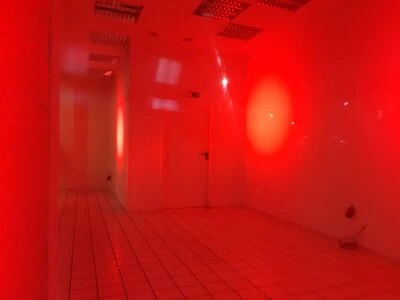 Hide For Your Life! | The Transitory Records Wiki | Fandom